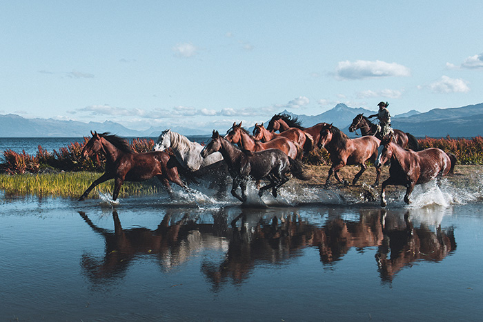 Caballos en la Patagonia: Las impresionantes fotos de Lena Bam desde el ...